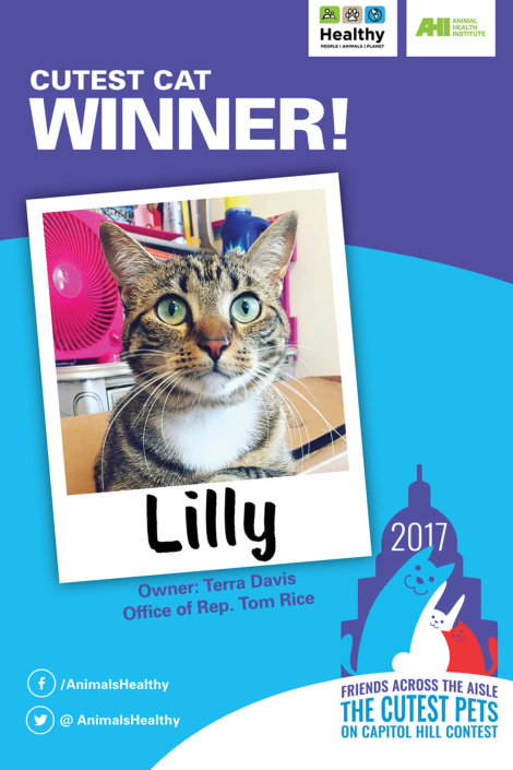 CUTEST PETS CONTEST - ANIMAL HEALTH INSTITUTE