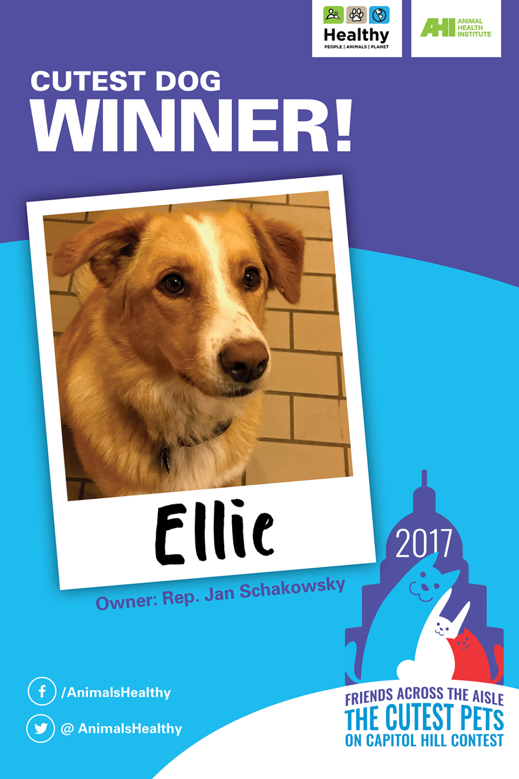 CUTEST PETS CONTEST - ANIMAL HEALTH INSTITUTE