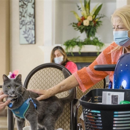 HOME - ANIMAL HEALTH INSTITUTE ANIMAL HEALTH INSTITUTE