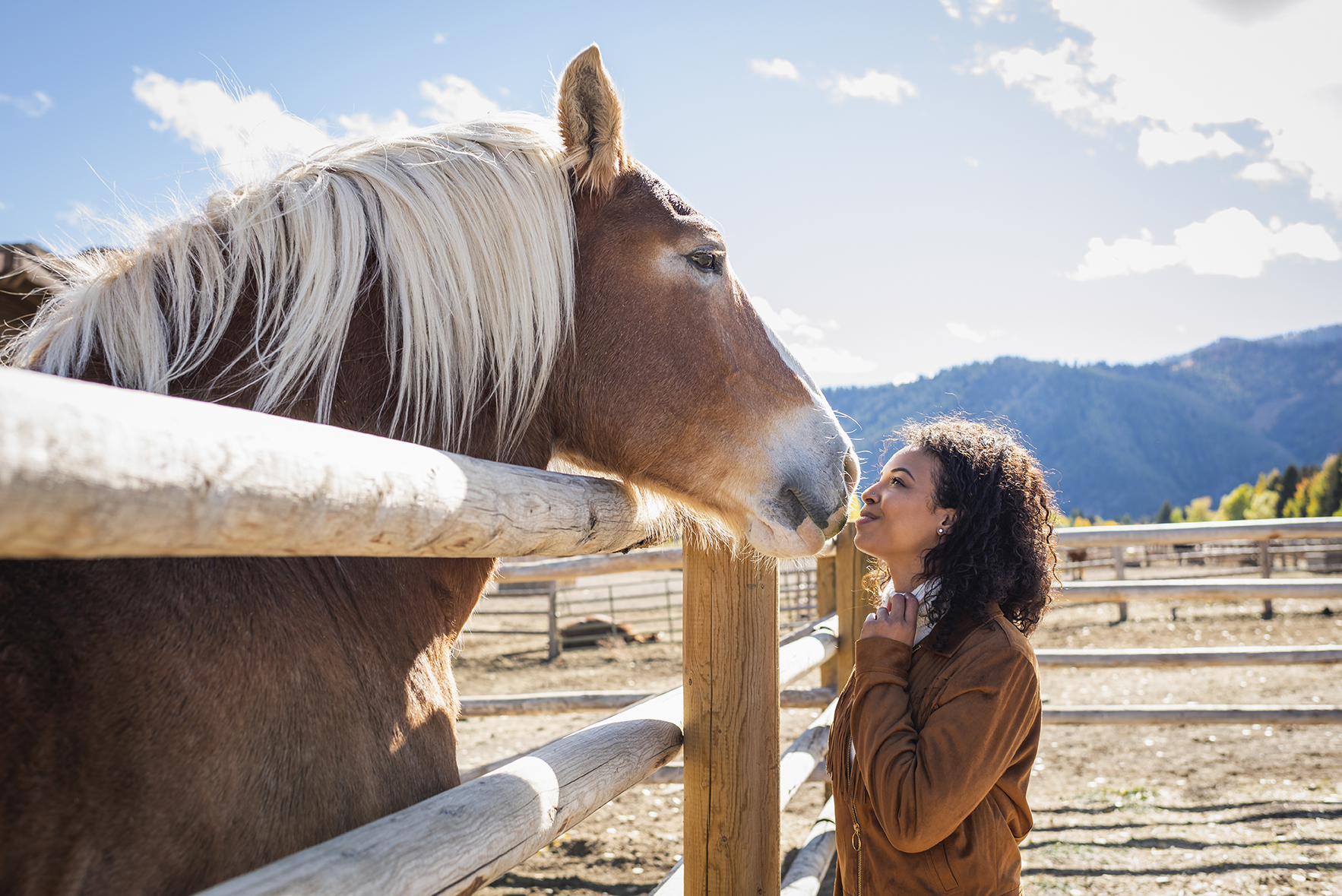 One Health: Healthy Animals, Healthy People, Heathy Planet - ANIMAL ...