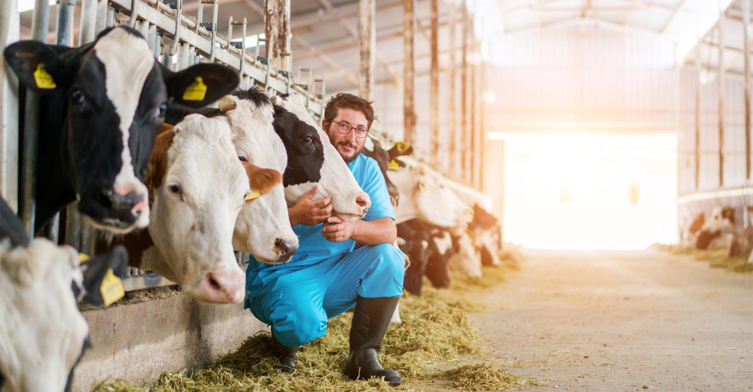 HEALTHY ANIMALS - ANIMAL HEALTH INSTITUTE