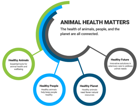 ANIMAL HEALTH INSTITUTE